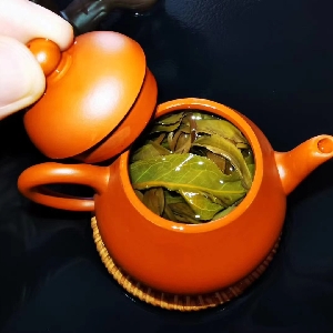 小古磨的茶 