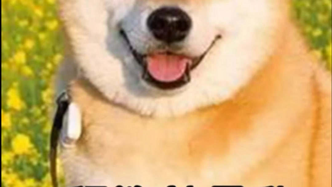 这么会撒狗粮的logo标志,你见过吗?爱情logo设计如何在线生成?免费...