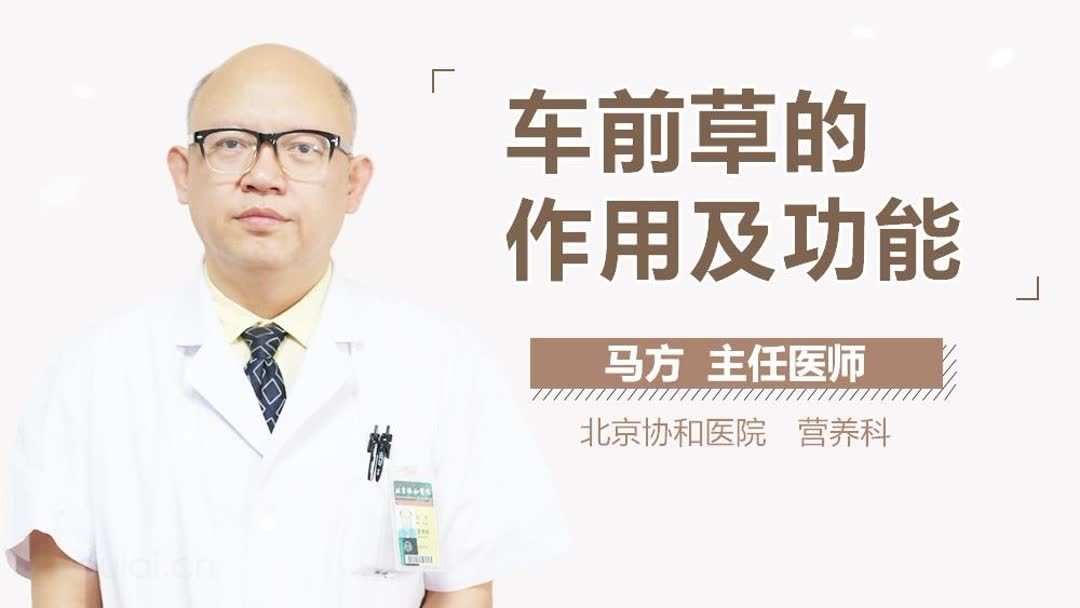 车前草的功效与作用,其用途你知道多少?
