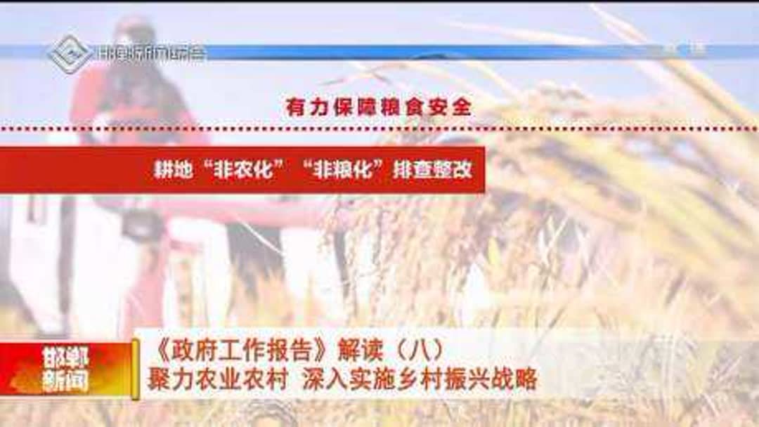 《政府工作报告》解读(八)聚力农业农村 深入实施乡村振兴战略