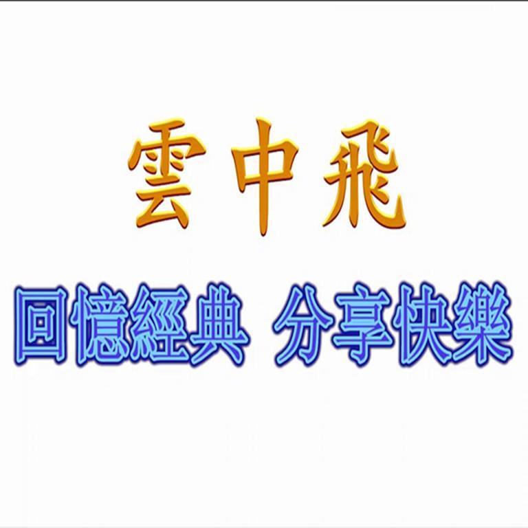 y1直雲中飛 