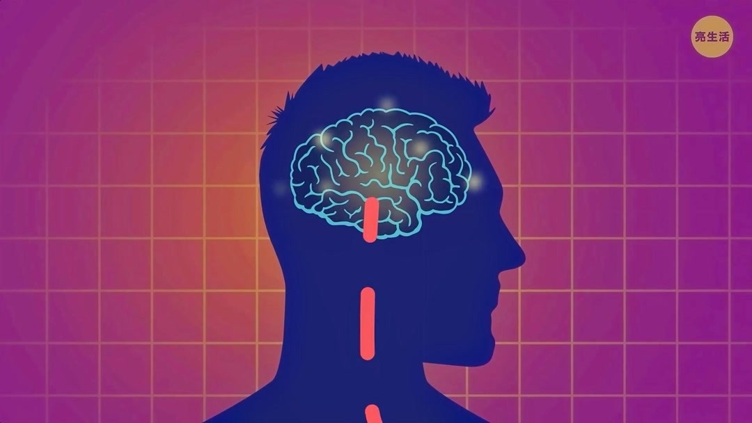 探索神经系统之旅