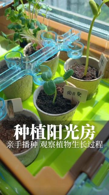 和孩子一起种菜吧!让孩子亲手播种,近距离观察植物生长过程,体验种植...