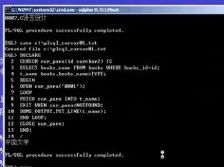 [Oracle10G数据库系统教程中科院培训老师讲授]051