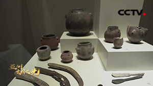 [亚洲 文明之光]人类最原始农业诞生于亚洲