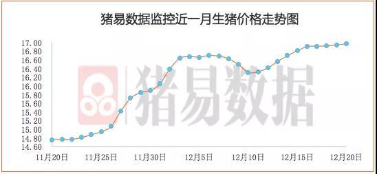 12月20日猪价播报:稳中伴涨,冬至需求已达到顶峰