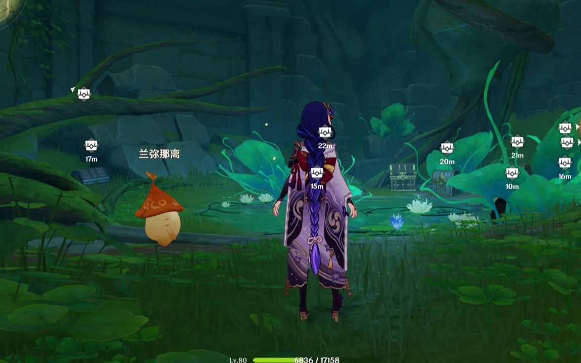 【森林书】找完76个兰纳罗的勤劳好那拉,15个宝箱沉浸式开箱!