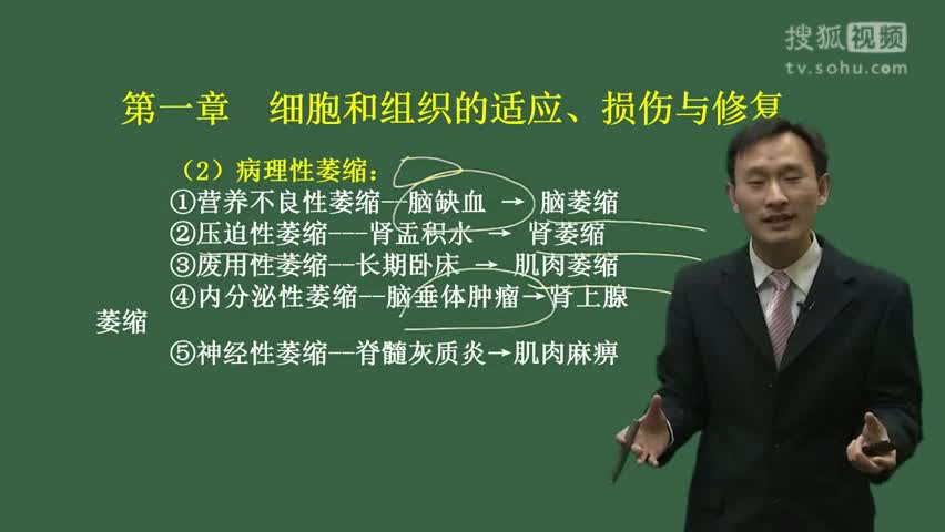 2017医疗卫生事业单位招聘考试课程-医学基础知识-病理学-胡晓东-1_(...