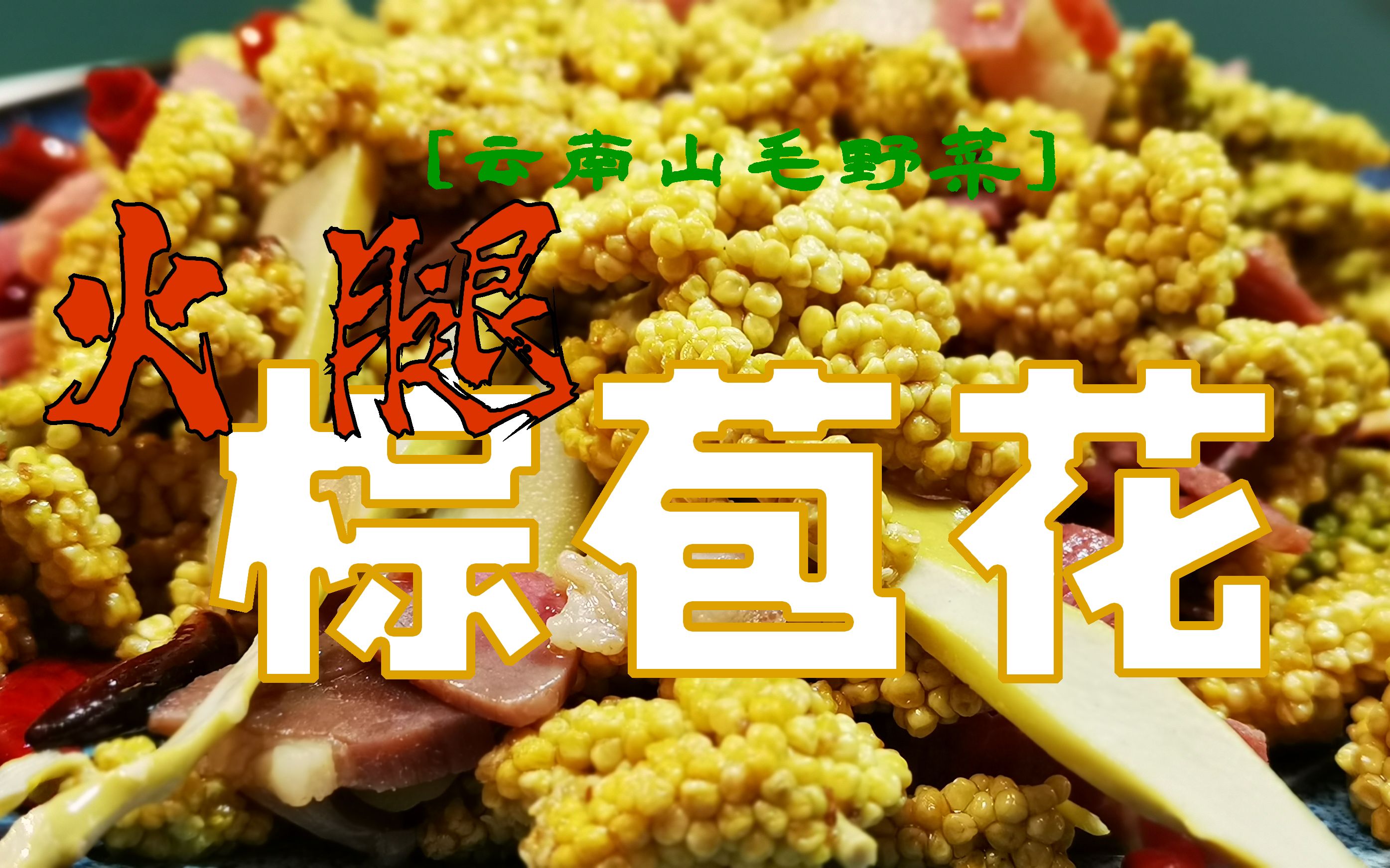 【云南菜】树上长的“鱼籽”——火腿棕苞花