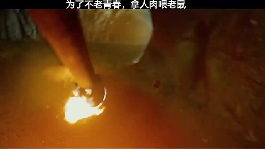 为了长生不老,居然用人肉喂老鼠,这下把老鼠激怒了