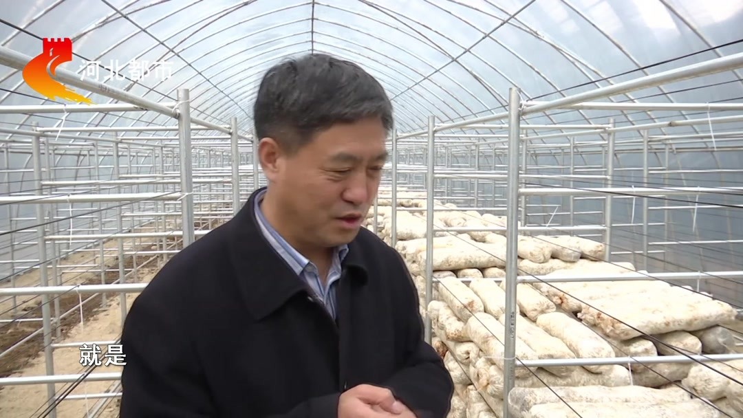 《追梦新时代永远跟党走》第一期蘑菇县长