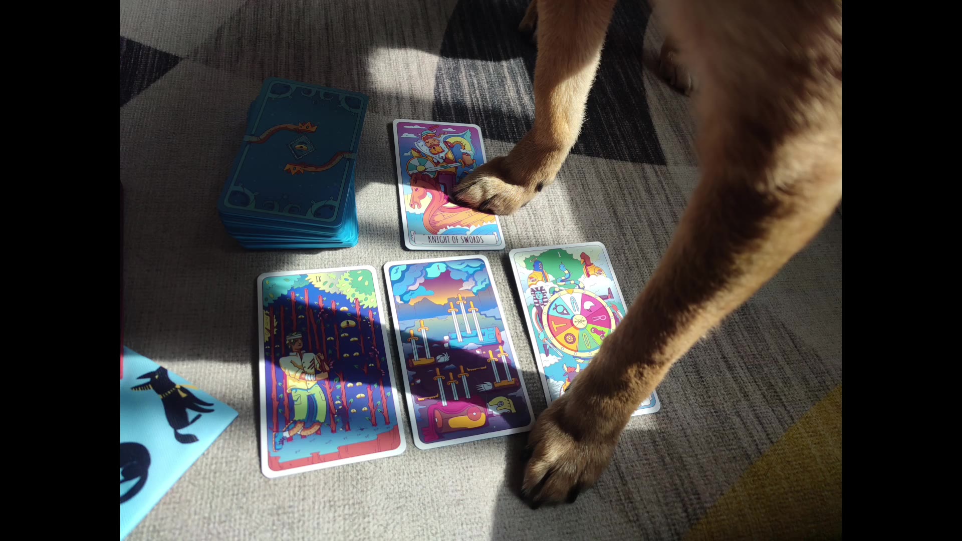 塔罗龙抬头一些想说的:梳理与祝福