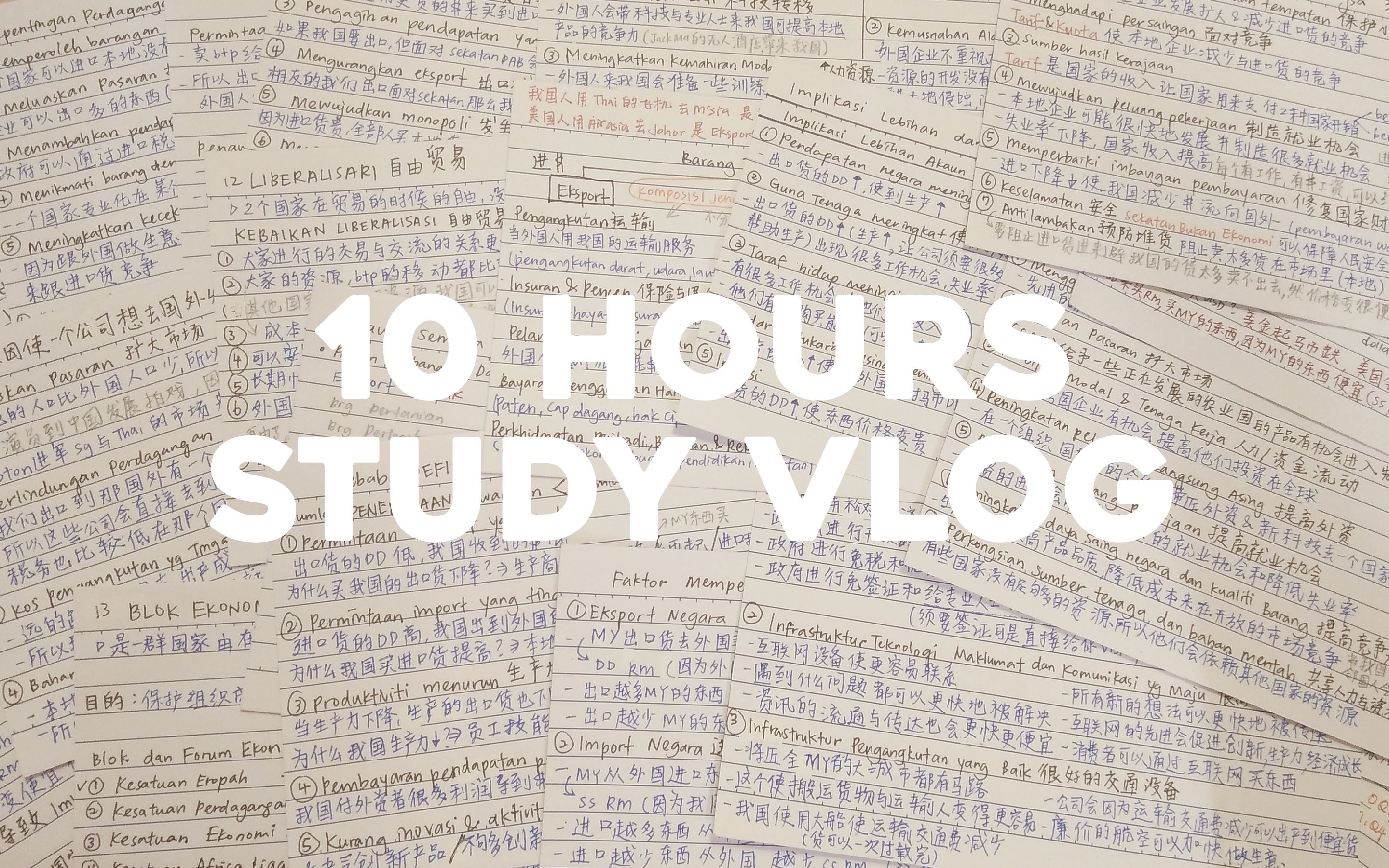 STUDY VLOG | 10小时学习记录 | 抽认卡高效学习 | 治愈励志学习