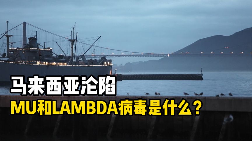 马来西亚沦陷!MU和LAMBDA变异病毒到底是什么?
