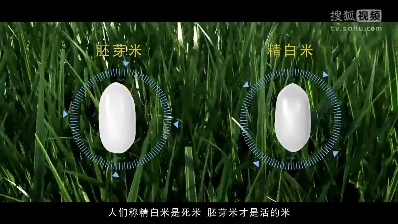 初稻胚芽米---这种大米的营养价值是普通大米的128倍!