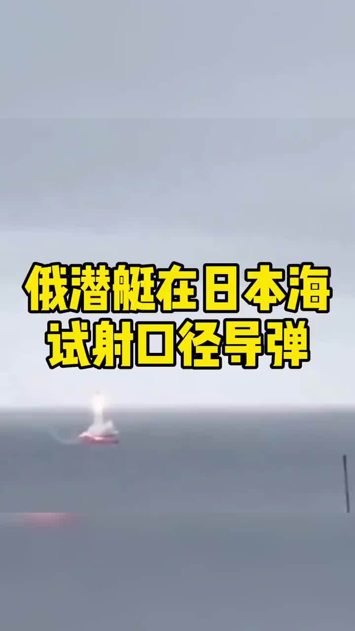 #俄潜艇在日本海试射口径导弹