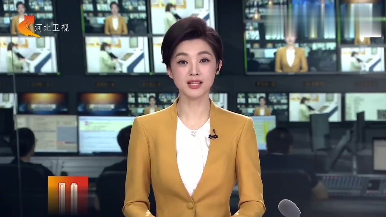 我为群众办实事|河北:智能终端“在身边”政务服务“网上办”