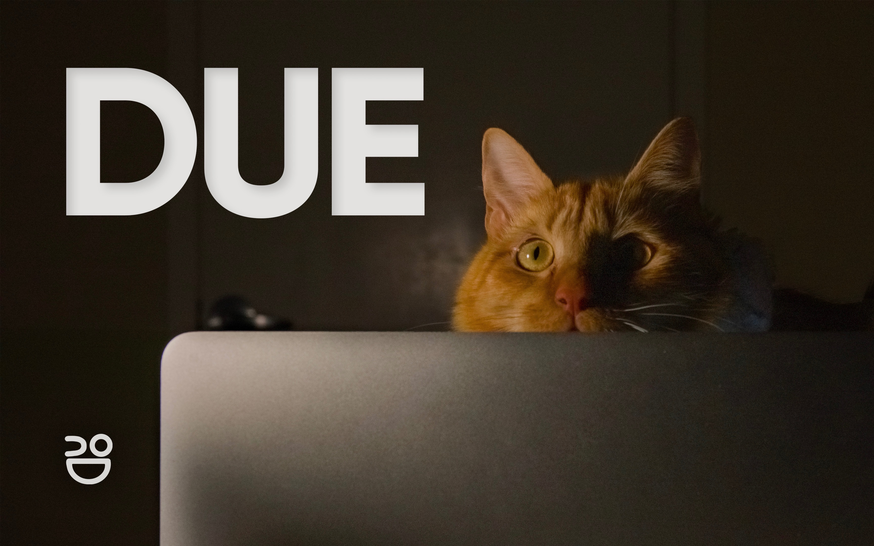 「短片作业」DUE