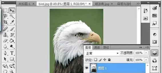 ps全套教程第17魔术棒入门基础教程从零开始学ps手绘ps抠图ps调色...