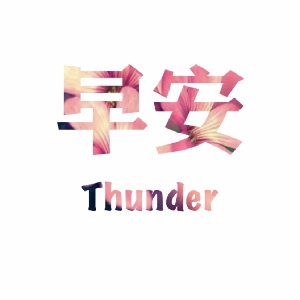Thunder数码-魔护卫 
