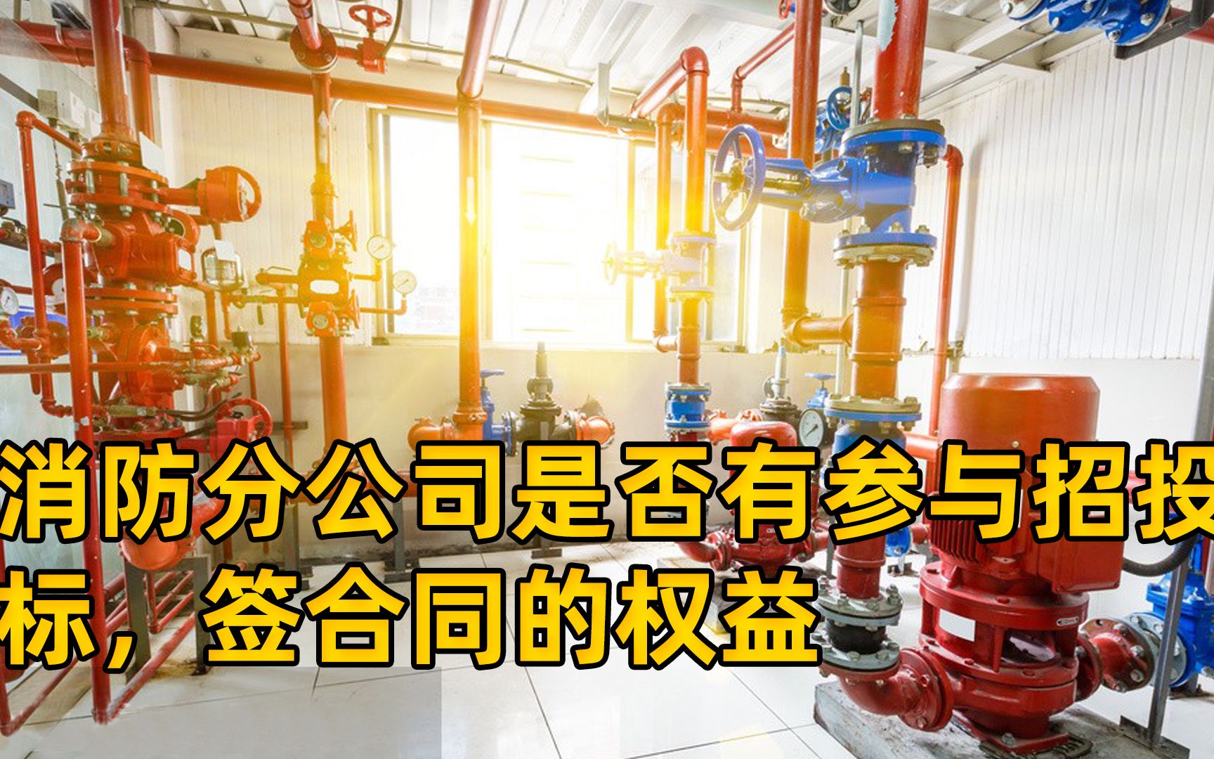 消防工程分公司是否有参与招投标,签合同的权益,有法律依据吗
