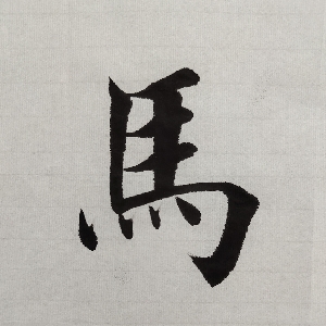 心里美支支 