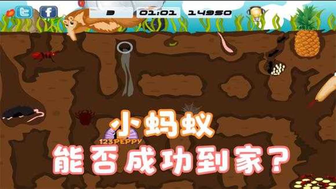 大海哥解说红蚂蚁回家:小蚂蚁回家的路上可谓是危险重重!