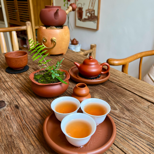 与你共茗 