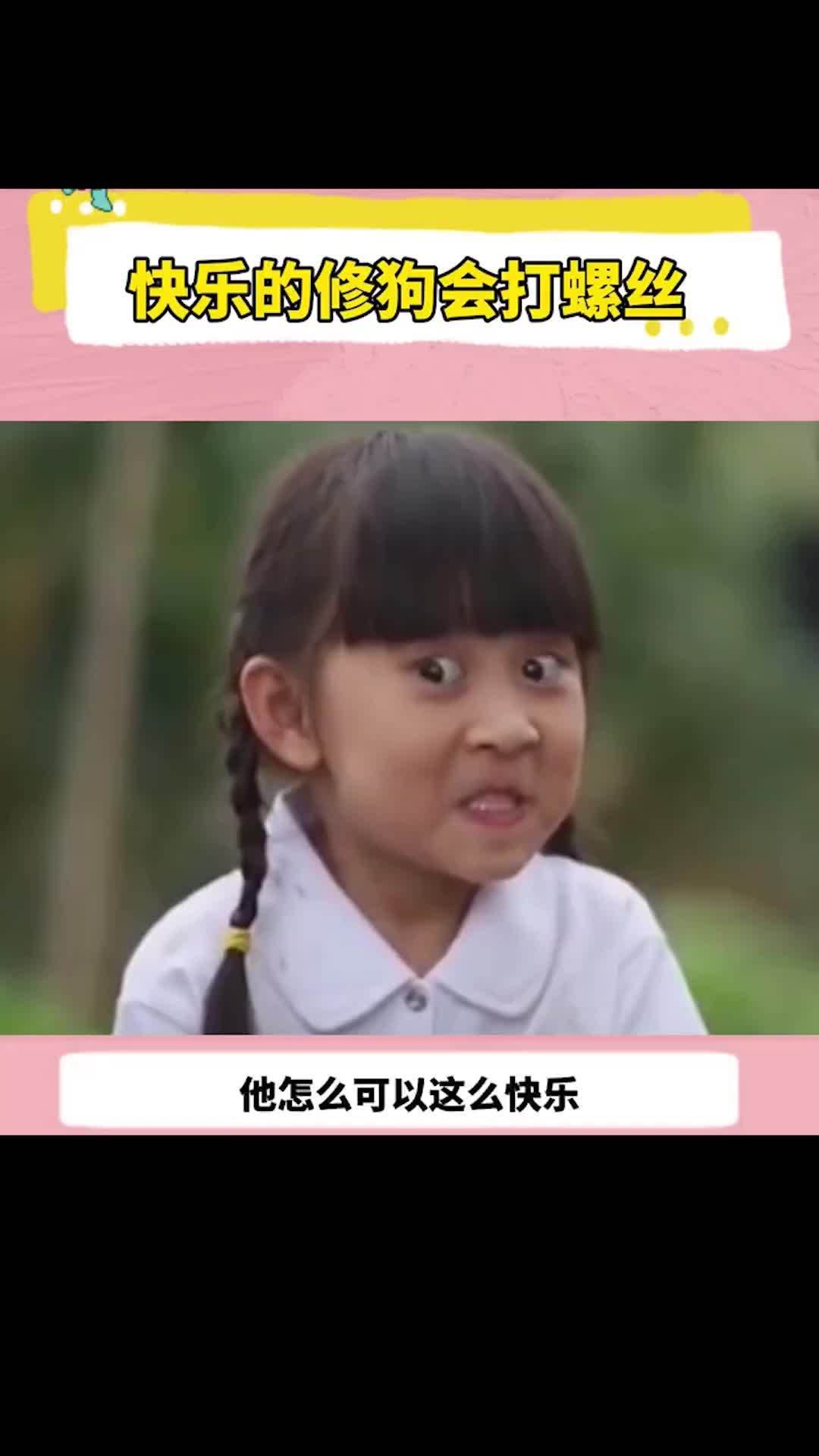 善良快乐的修狗狗的心思都写在脸上了