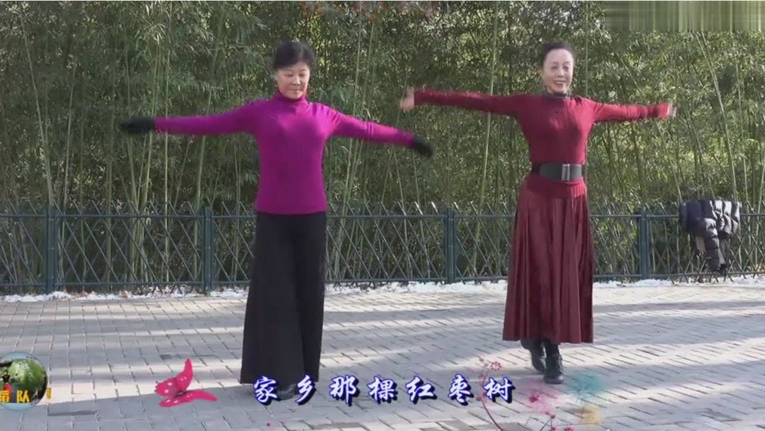 紫竹院广场舞《红枣树》,崔老师和李悦老师跳得真好!