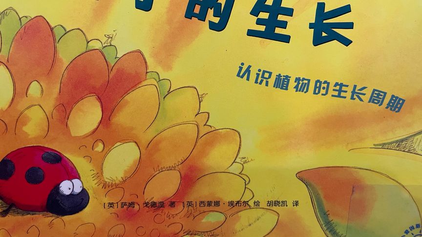 教孩子了解自然,植物的生长过程,70期科普绘本《种子的生长》