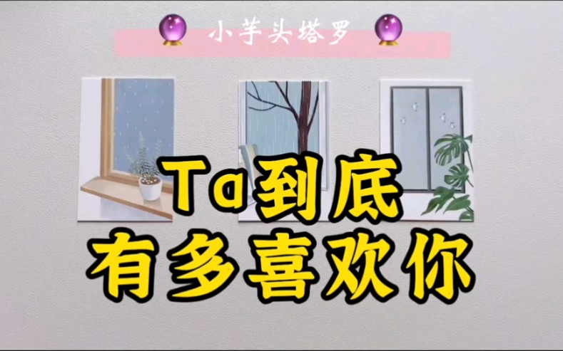 塔罗占卜:Ta到底有多喜欢你?