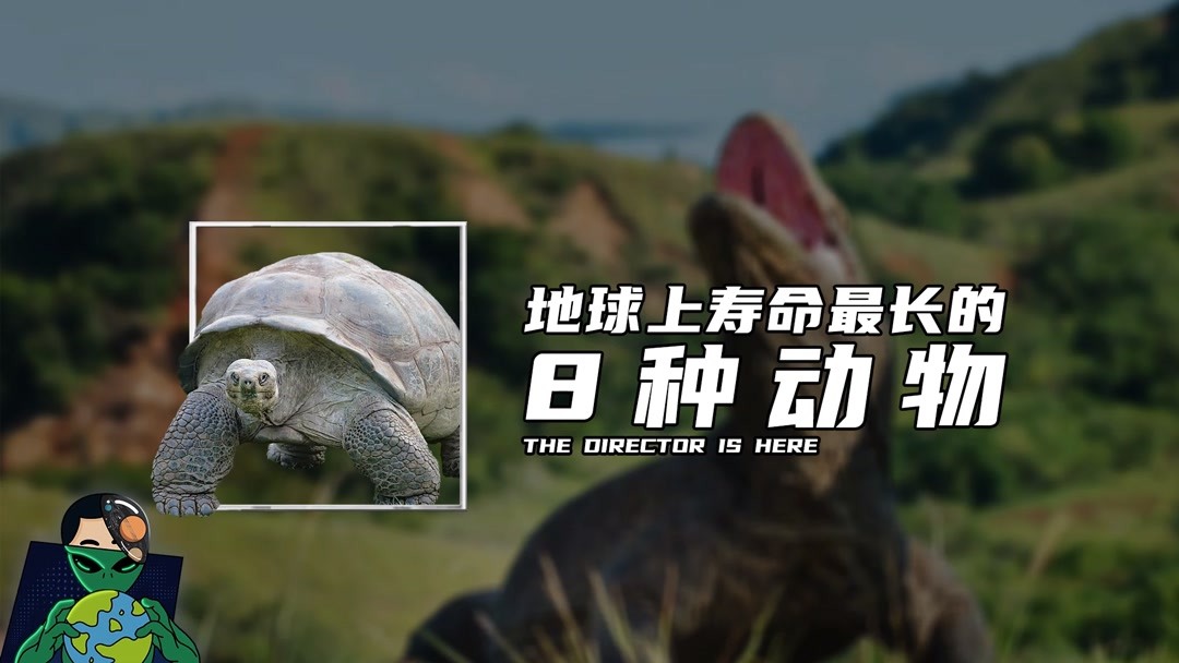 地球上寿命最长的8种动物