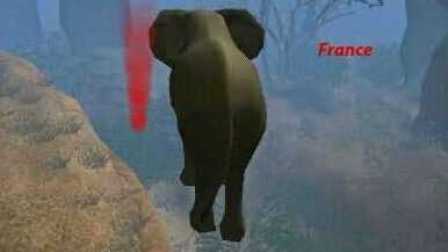 模拟动物人生2大象,女霸解说