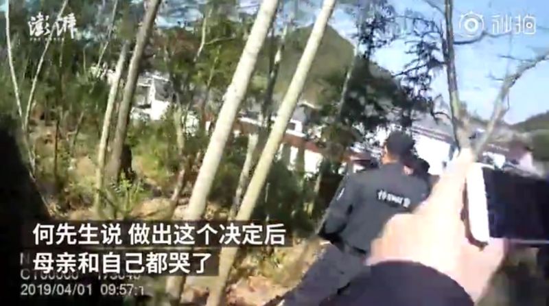 家养藏獒连续伤人,主人含泪报警请求击毙
