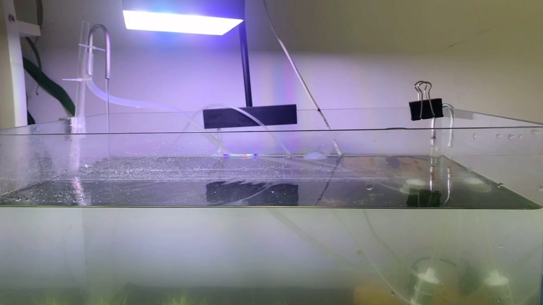 自制鱼缸过滤diy鱼缸过滤