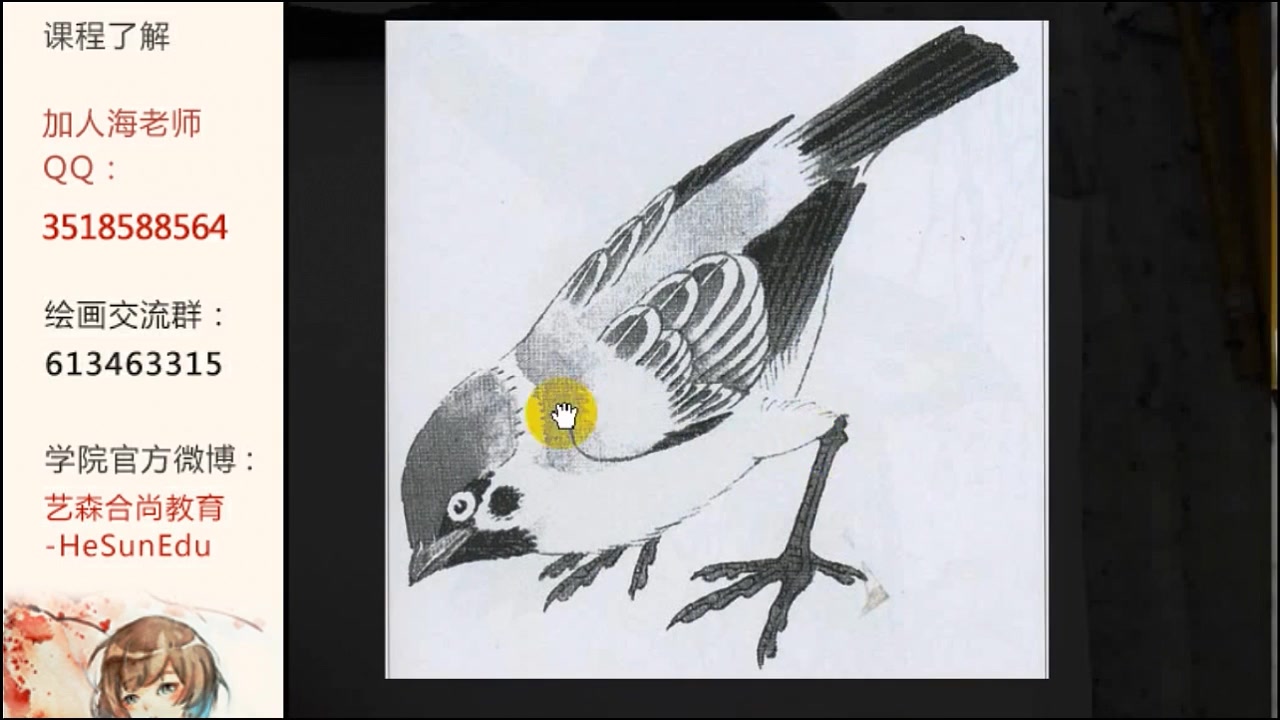 【国画工笔】——鸟类绘画