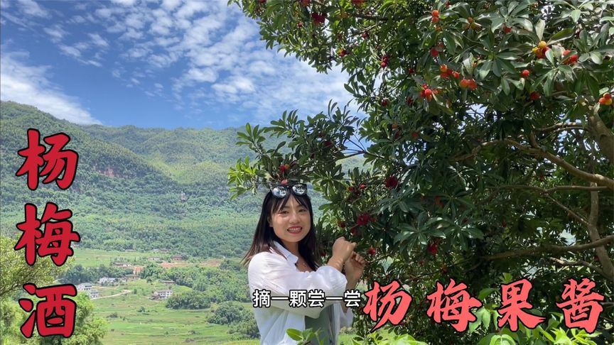 到朋友家摘杨梅,小兰把它做成杨梅酒和杨梅果酱颜色实在太漂亮了