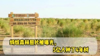 5亿人种了4年树!蚂蚁森林照片被曝光,网友激动了:这是真的