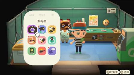 switch《集合啦!动物森友会》我的日常