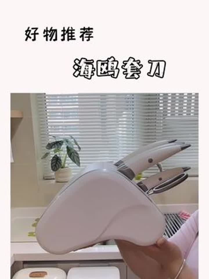 每个厨房都少不了一套好用的刀具套装#厨房好物 #刀具