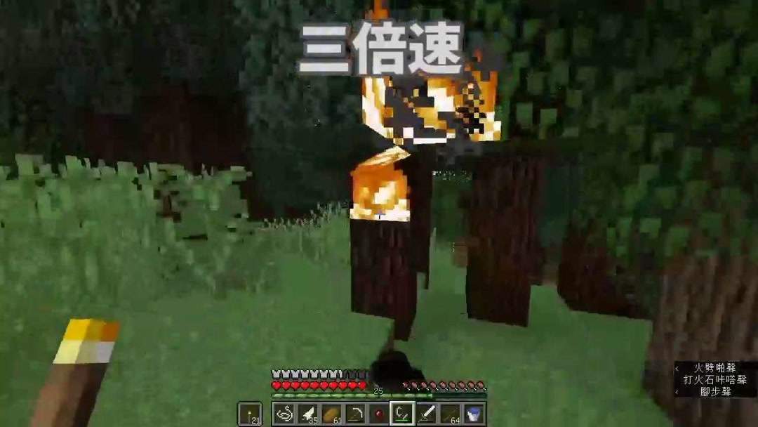 我的世界:树木都烧了,取木头
