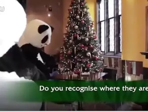 爱丁堡动物园制作熊猫视频:熊猫在旅途《Pandas on Tour》——第三站