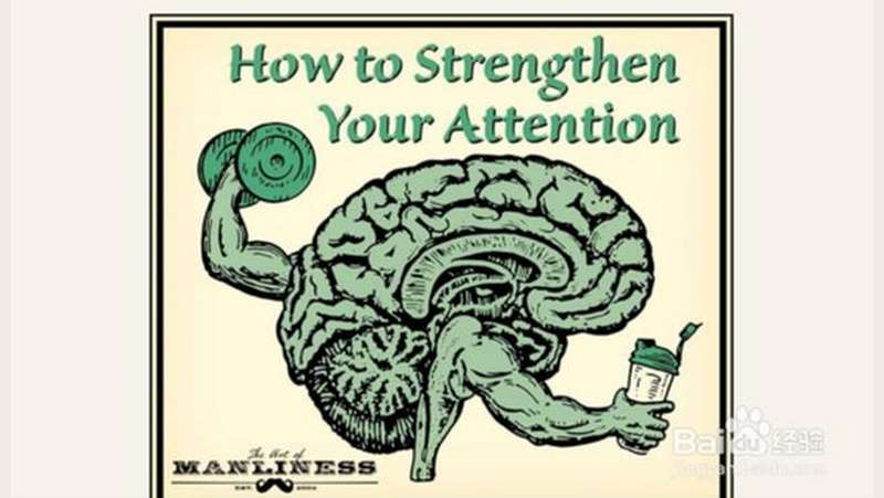注意力训练方法