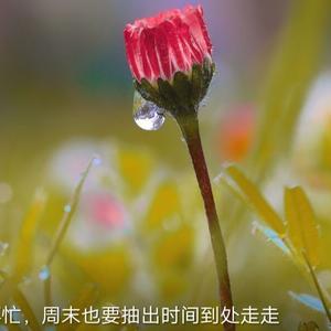 云淡风轻5689 