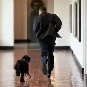 一丝不苟星球话星球 