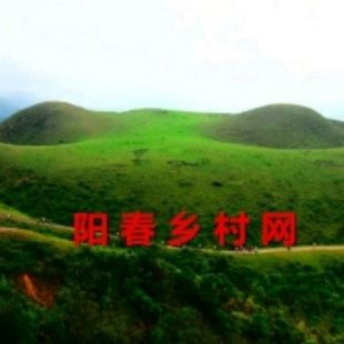 阳春乡村网 