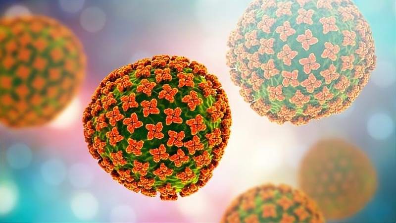 “新冠病毒早已在全美传播”,美国权威机构重磅发声,中国表态了