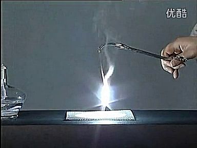 质量守恒定律(镁条燃烧的质量变化)