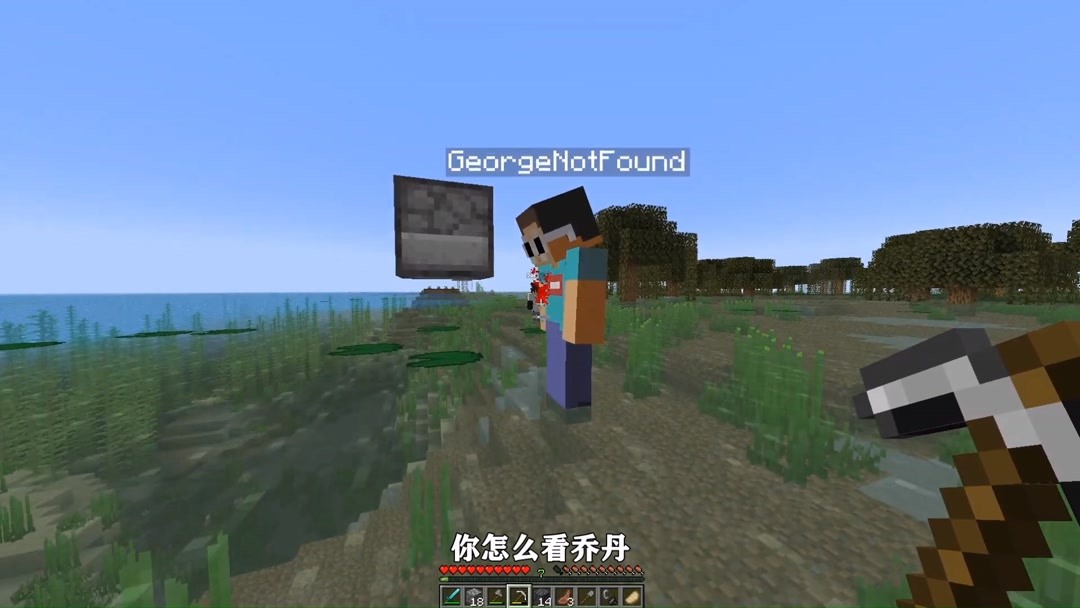 我的世界dream猎人游戏1v2原视频完整版